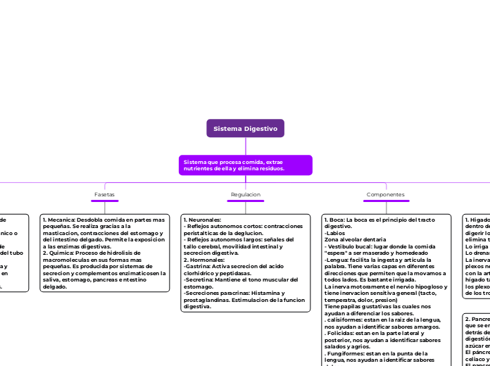 Sistema Digestivo - Adimen Mapa